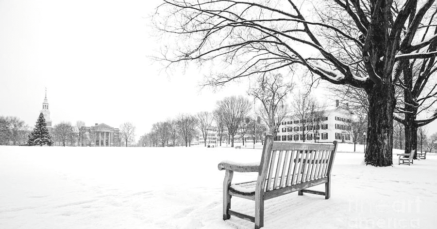 Winterim: Netflix and…more Netflix